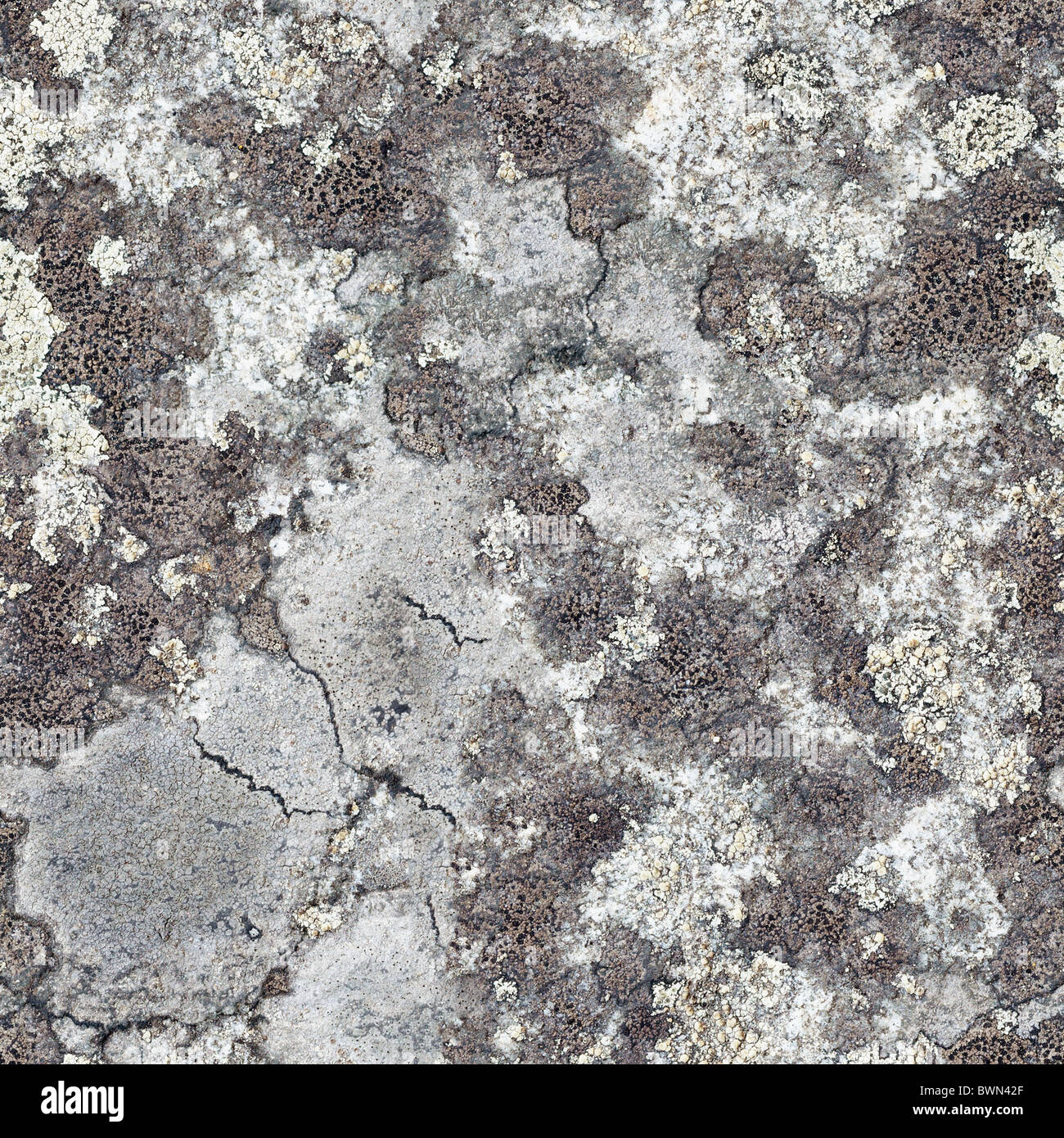 Surface of the granite rock covered with lichen - seamless texture ...