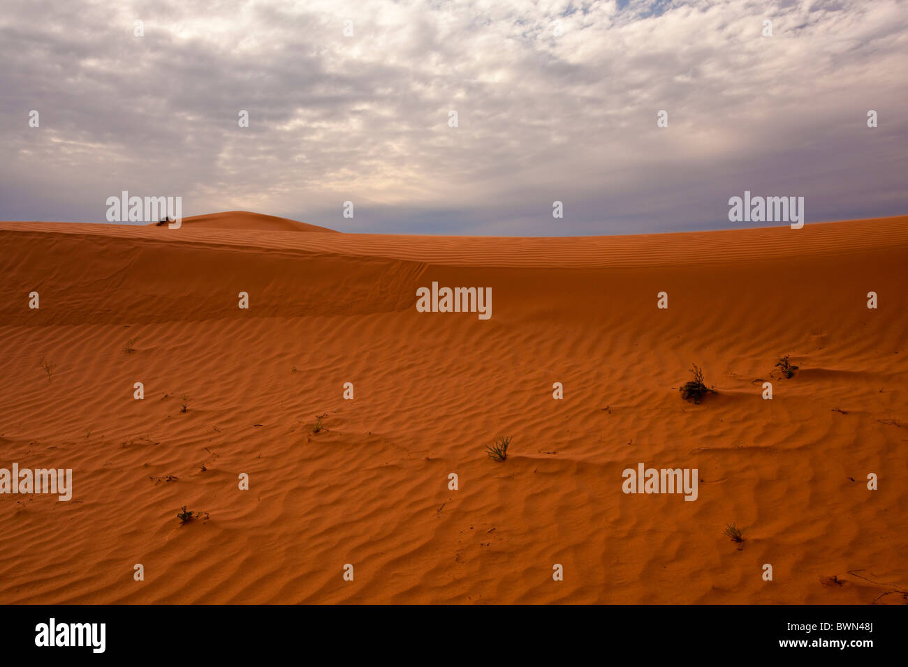 Wentworth new south wales hi-res stock photography and images - Alamy