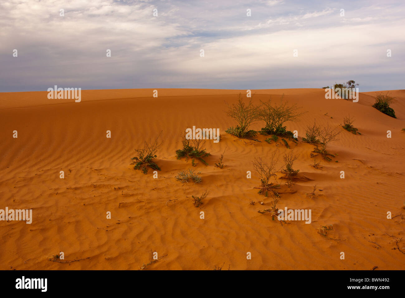 Wentworth new south wales hi-res stock photography and images - Alamy