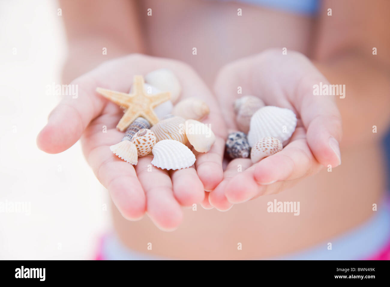 Souvenir Shells High Resolution Stock Photography and Images - Alamy