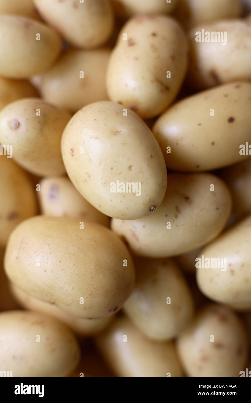 Vivaldi new potatoes Stock Photo - Alamy