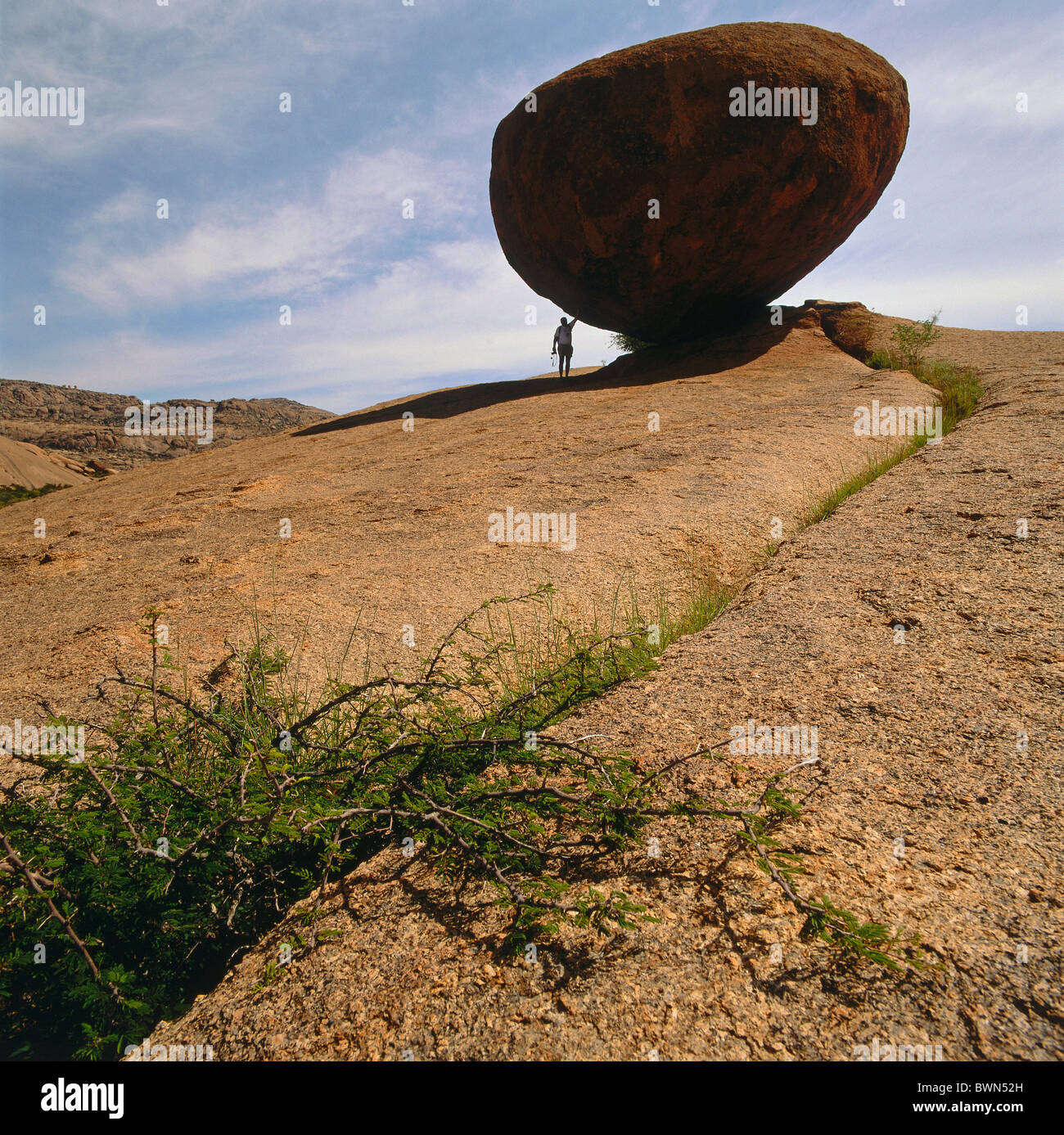 Bulls party ameib namibia hi-res stock photography and images - Alamy