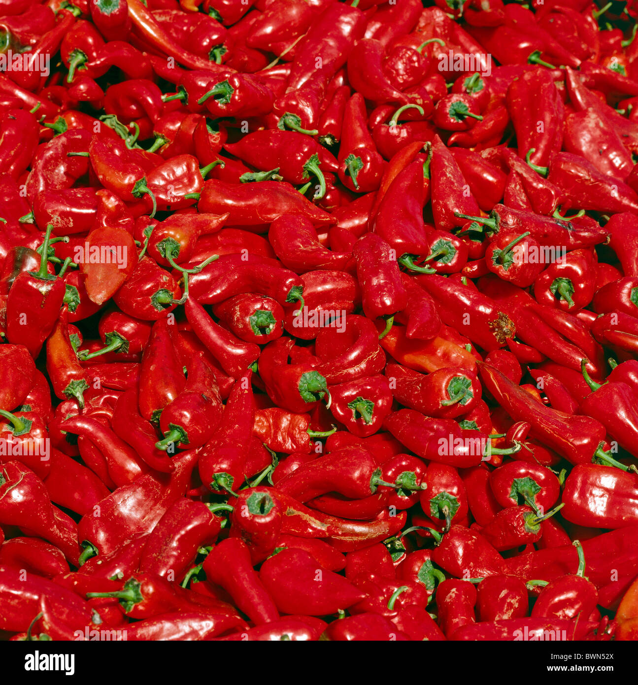 Asia Turkey paprika harvest nourishes nutrition eats fruit vegetables ...