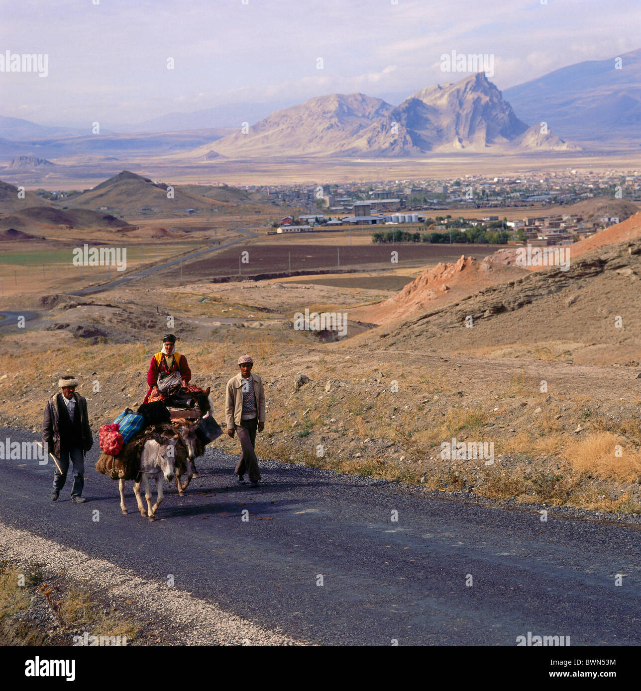 Asia Turkey Eastern Anatolia Kurd ethnic minority donkeys Dogubayazit ...