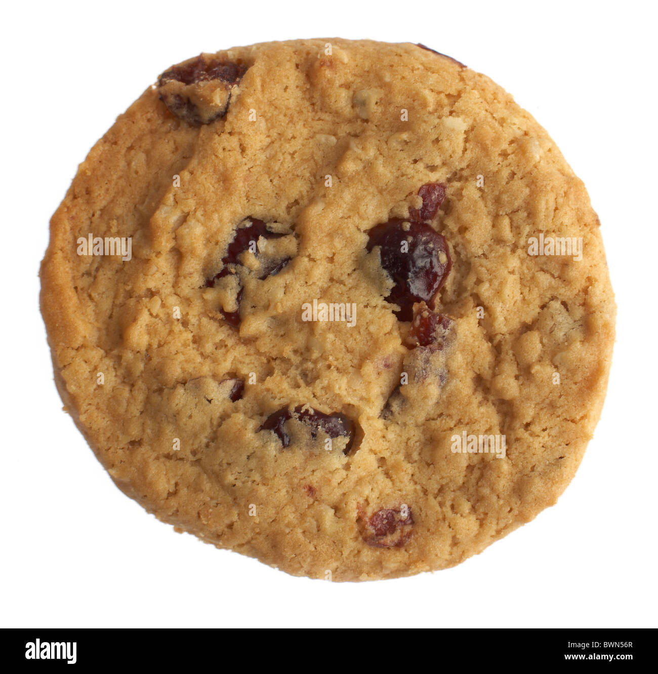 Single butter cookie with oatflakes and cranberries Stock Photo - Alamy