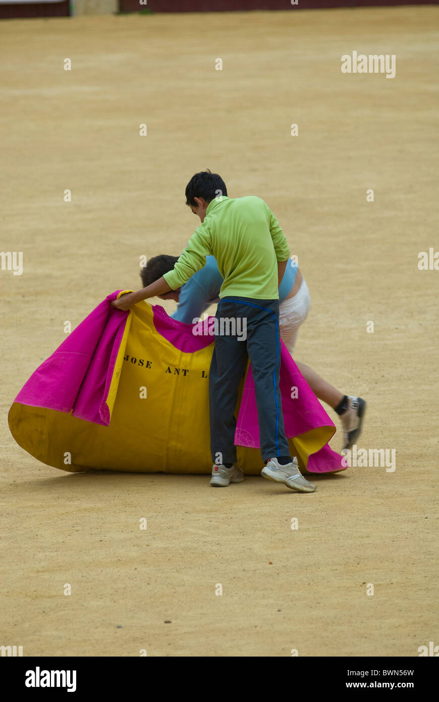 Bullfighting training hi-res stock photography and images - Alamy