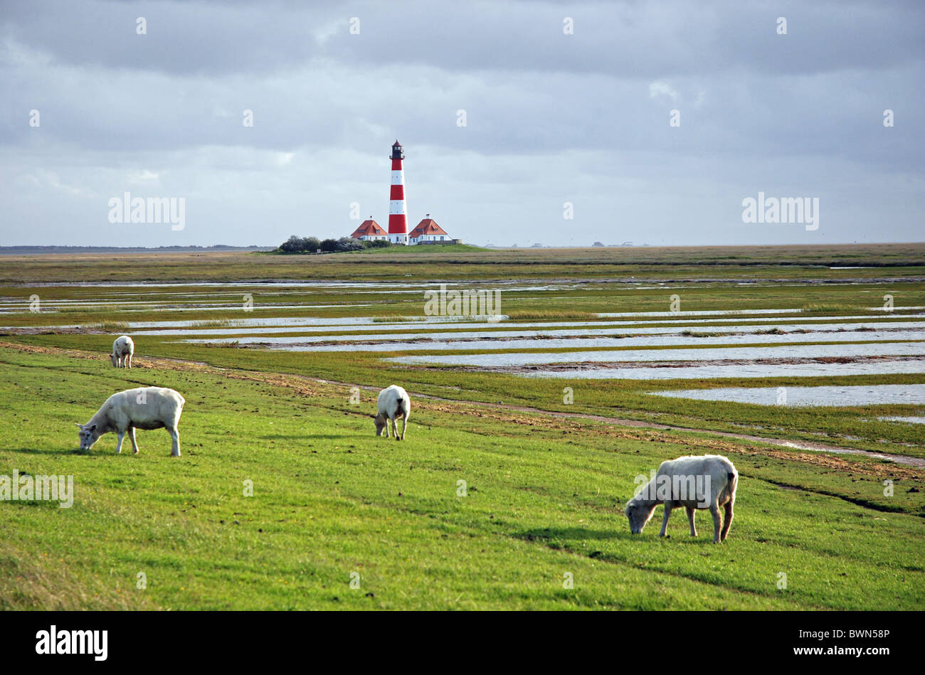 Dithmarschen hi-res stock photography and images - Alamy