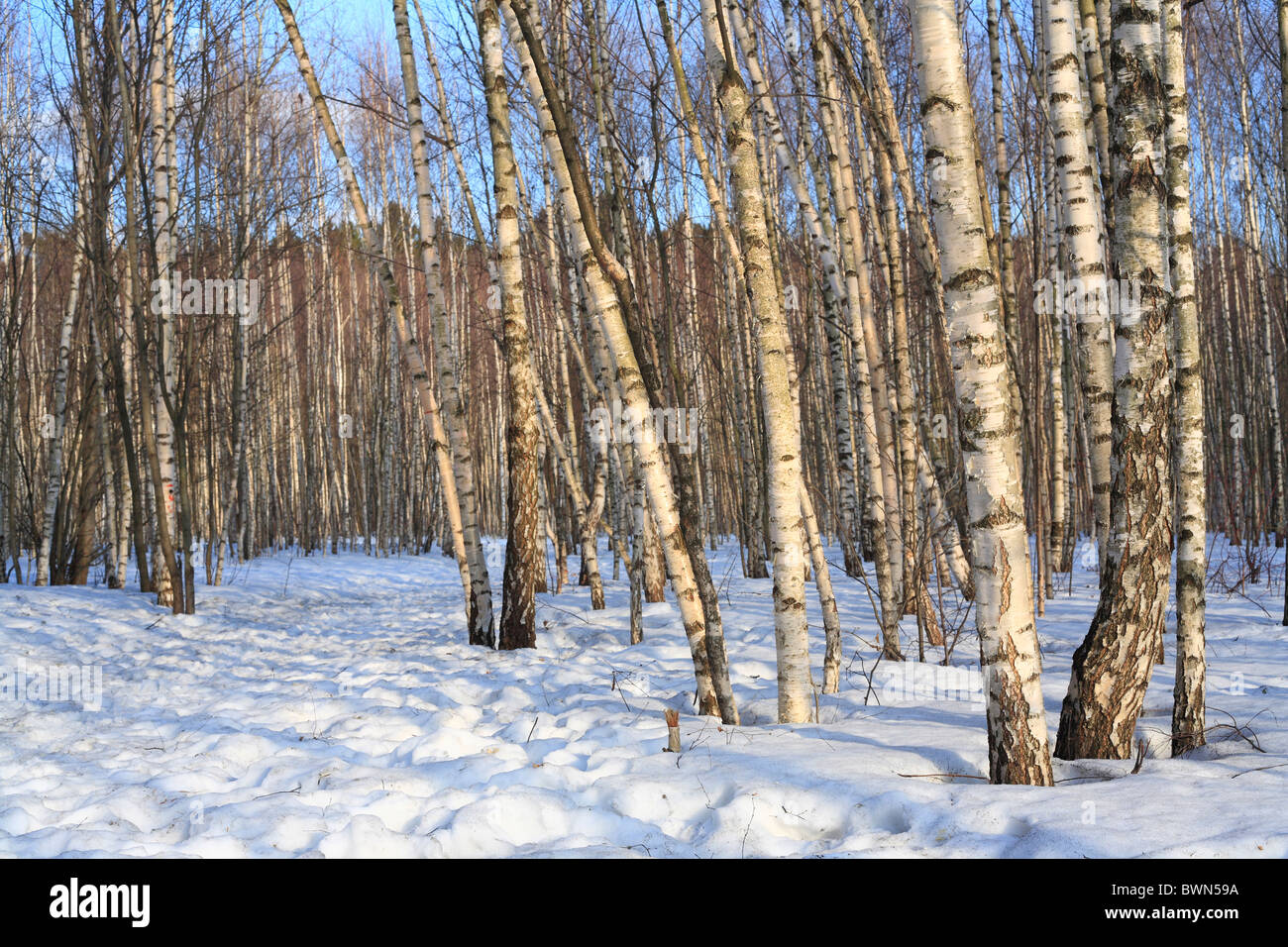 10836926 hi-res stock photography and images - Alamy