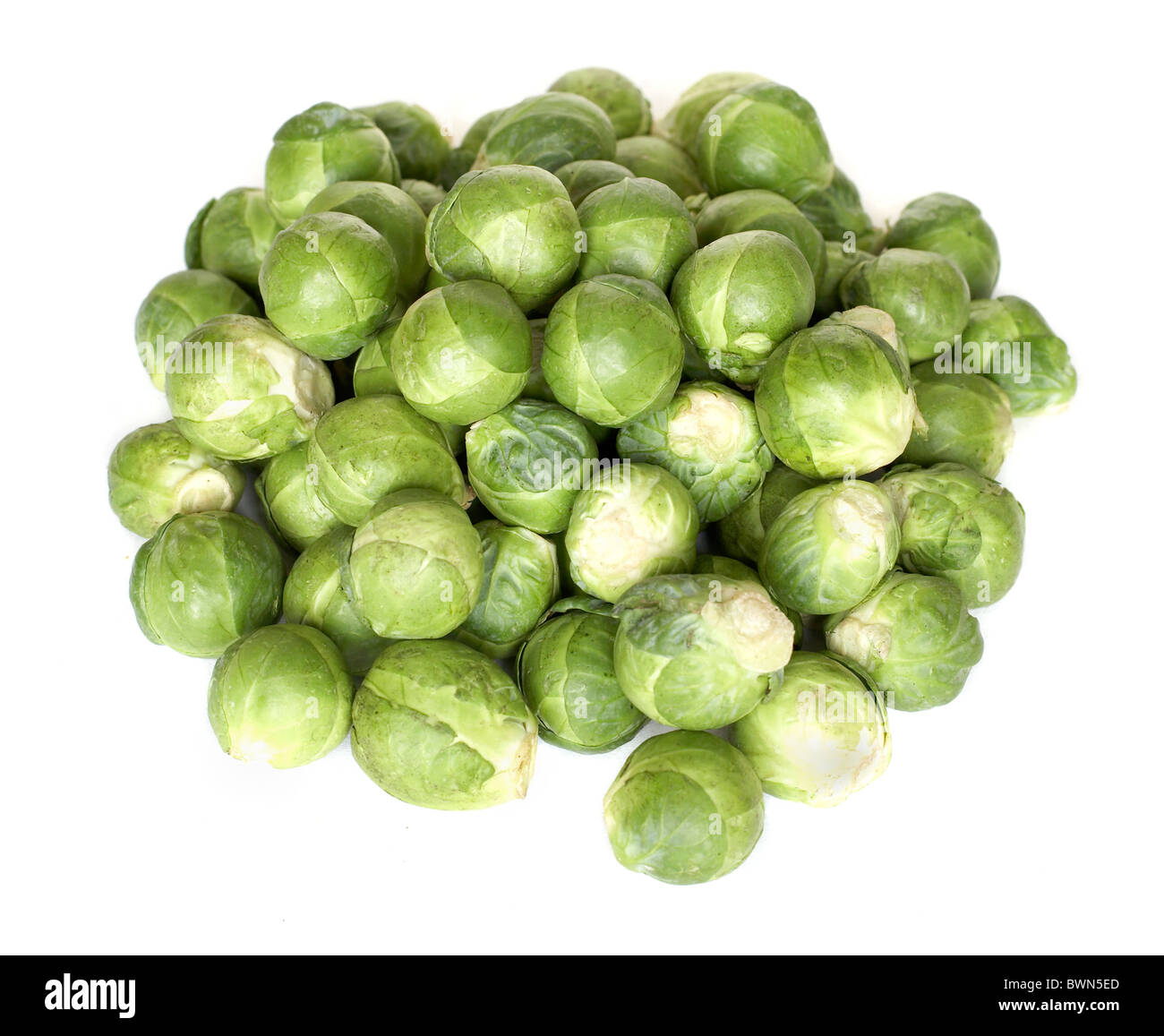 Brussel sprouts on white background Stock Photo - Alamy