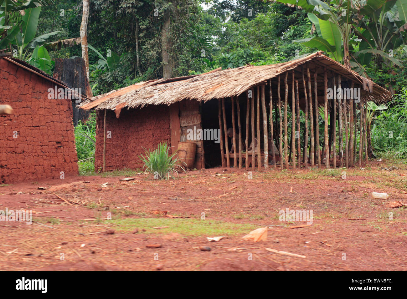 Cameroon travel trip African house architecture traditional Forest ...