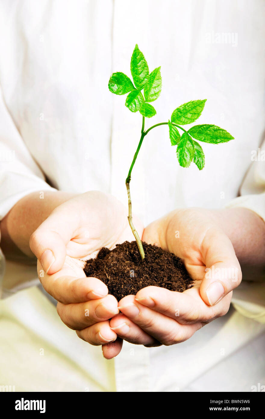 Save the planet - plant a new tree Stock Photo - Alamy
