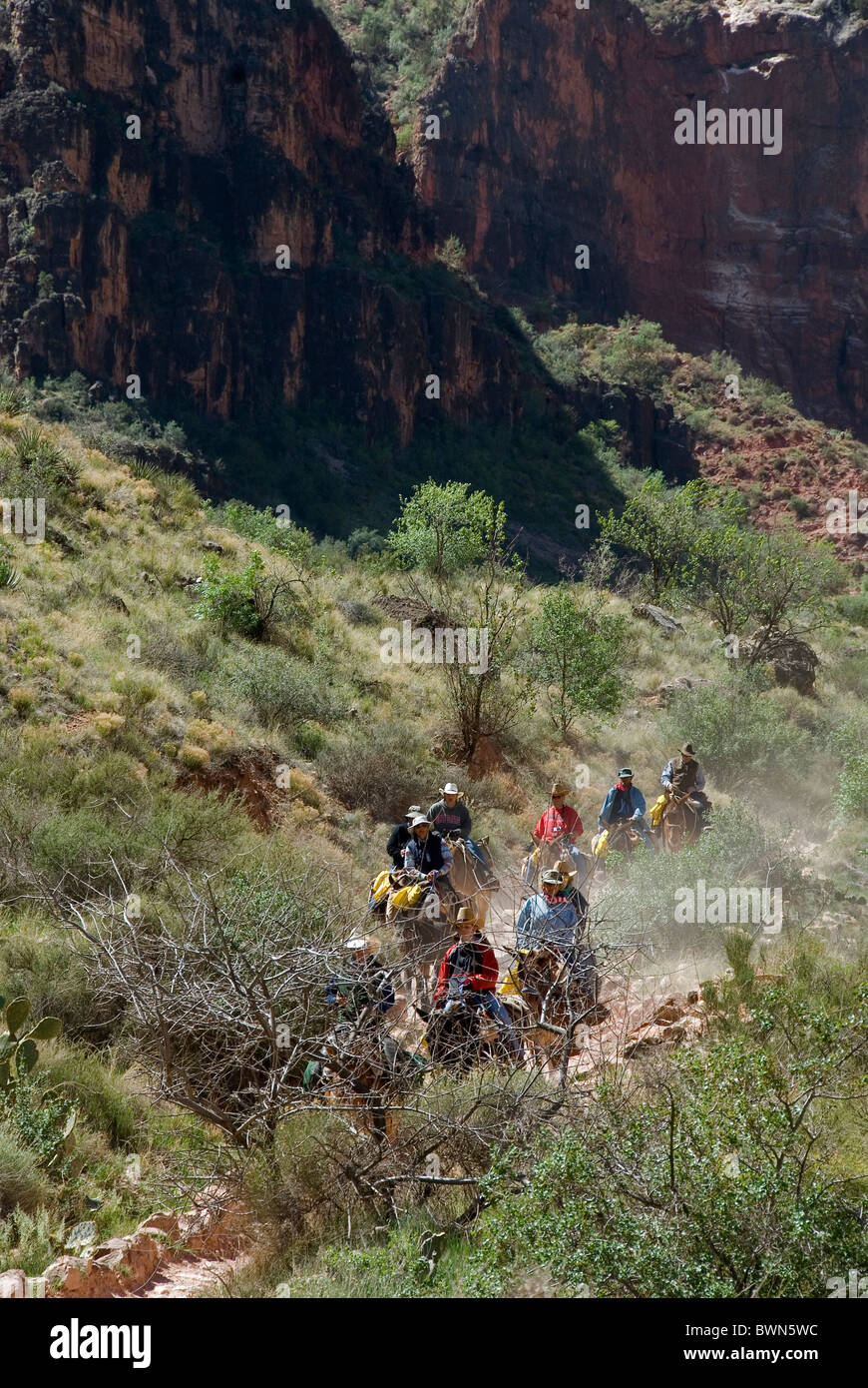 Grand Canyon national park Arizona USA America United States North ...