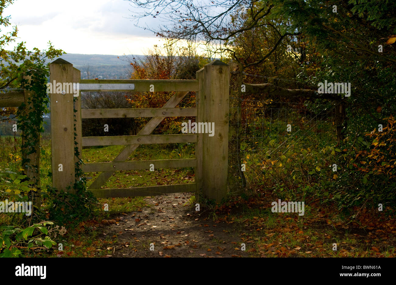 Box Hill view of path and gate with Autumnal trees in background Stock ...