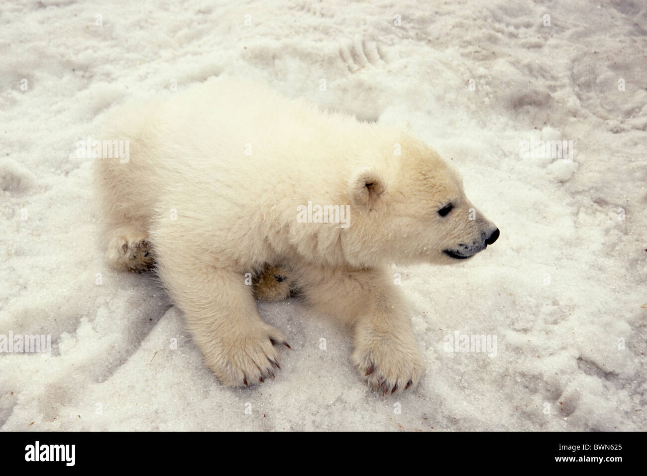 10837188 hi-res stock photography and images - Alamy