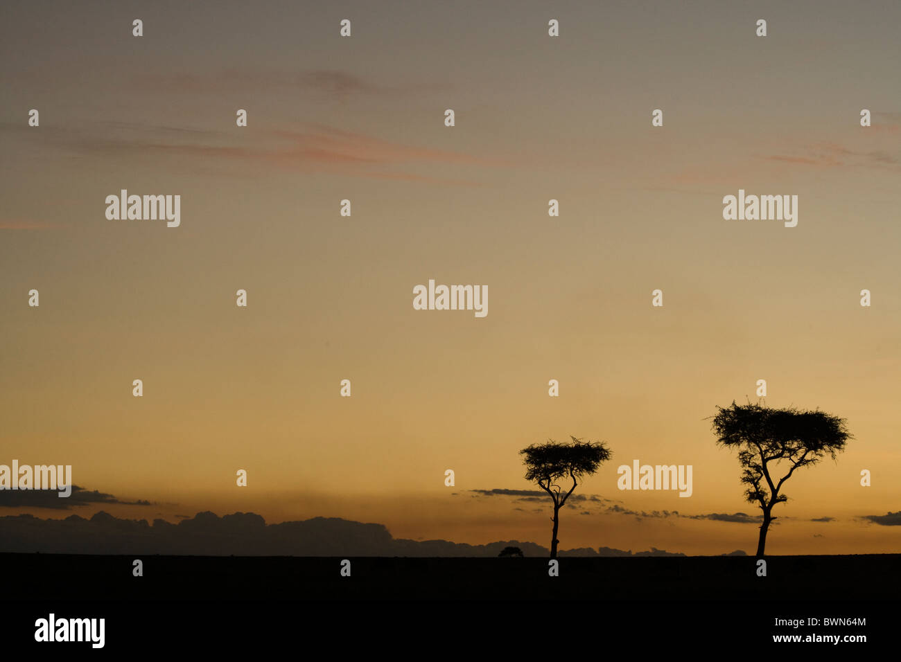 African sunset over the Masai Mara, Kenya Stock Photo - Alamy