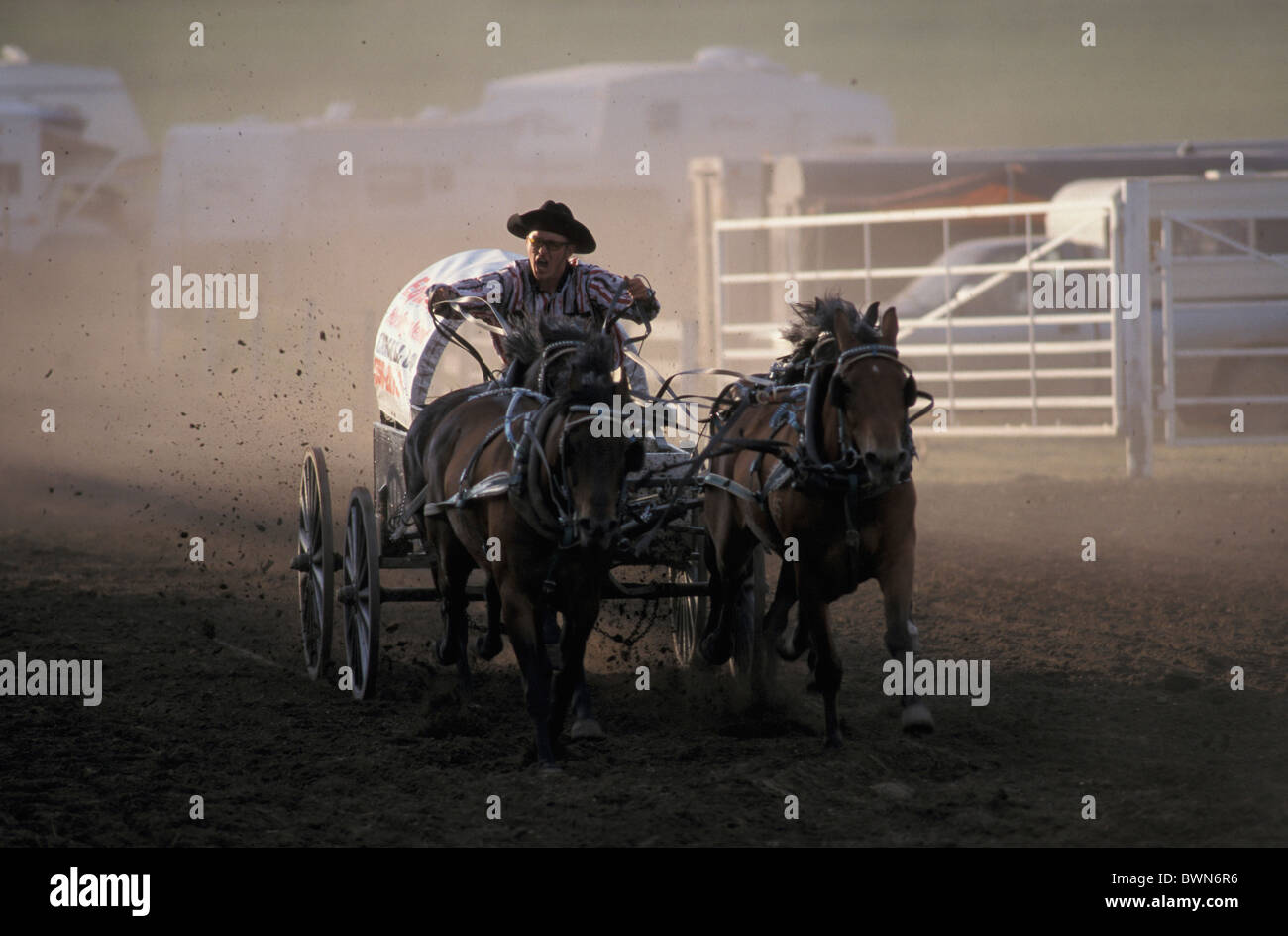 Canada North America America Chuckwagon race Rodeo Rockyford Alberta ...