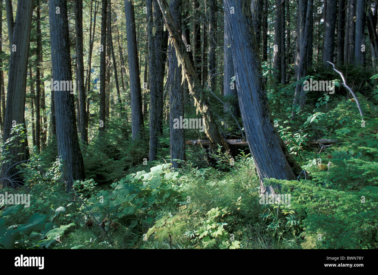 10837645 hi-res stock photography and images - Alamy