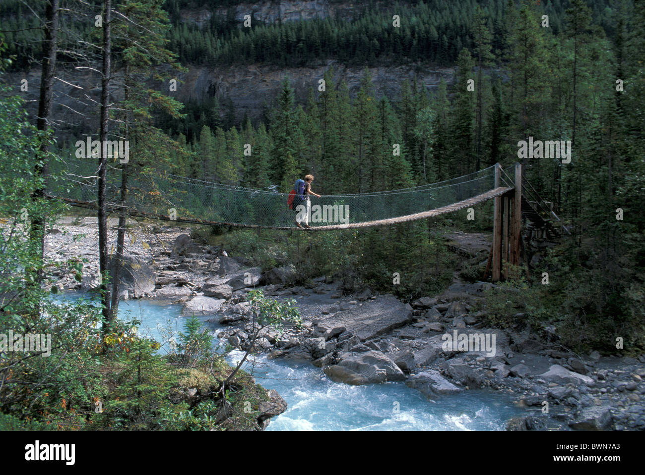 Canada North America America Suspension Bridge Berg Lake Trail Mount ...