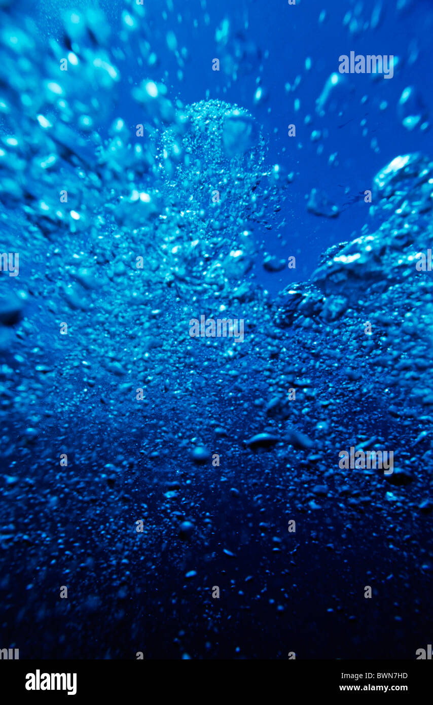 Bubbles in water floating towards surface Stock Photo - Alamy