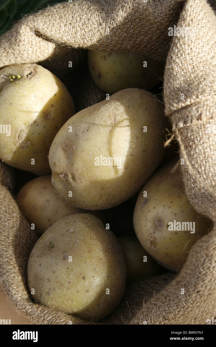 Sack Potatoes Spud Spuds Potato High Resolution Stock Photography and ...