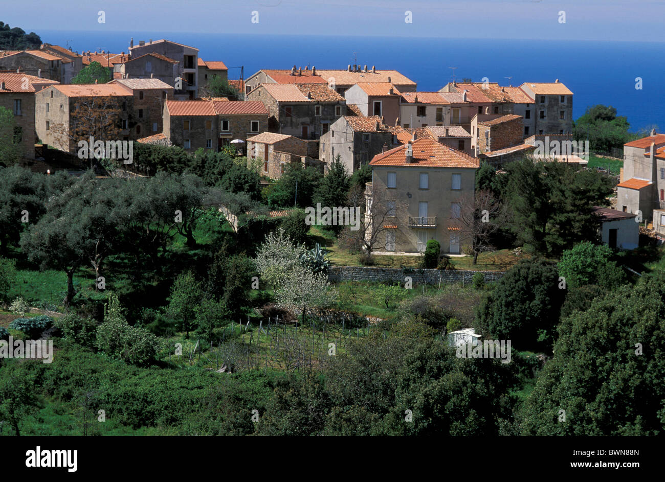 10837906 hi-res stock photography and images - Alamy