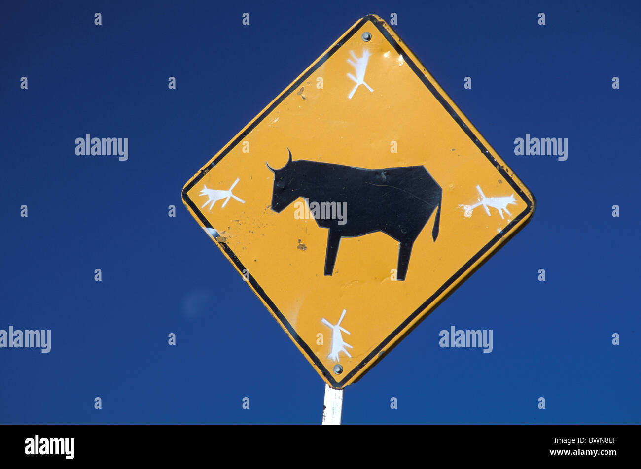 Mexico Central America America Road sign Baja California attention bull ...