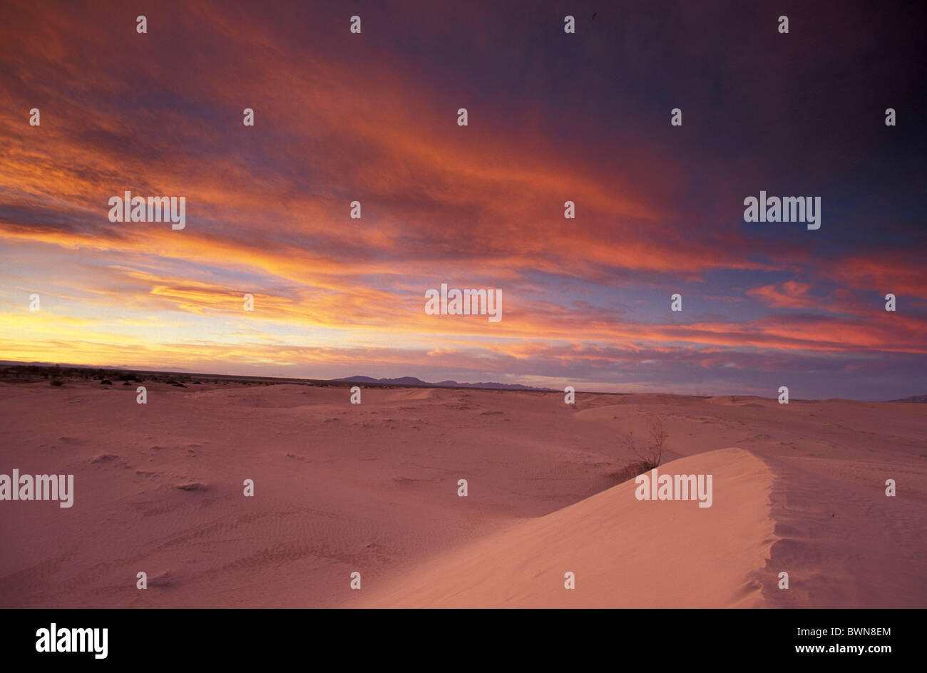 Mexico Central America America Dunas Bilbao near Viesca State of ...