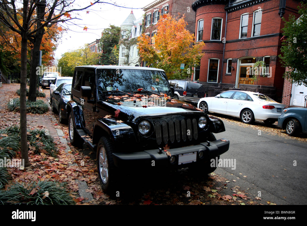 Street at fall time in Georgetown neighborhood Washington DC Stock ...