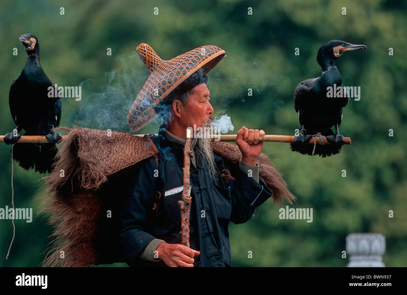 China Asia Fisherman Cormorants Yangshuo Guangxi cormorant bird birds ...