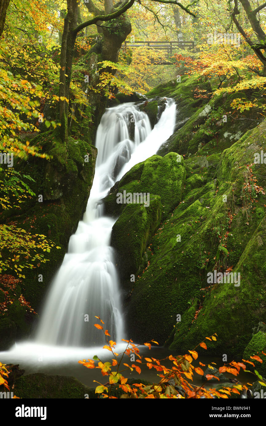 Autumn Colour at Stockghyll Force Waterfalls, Ambleside, Cumbria Stock ...
