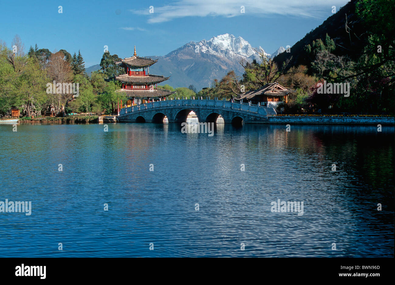 Long Tan High Resolution Stock Photography and Images - Alamy