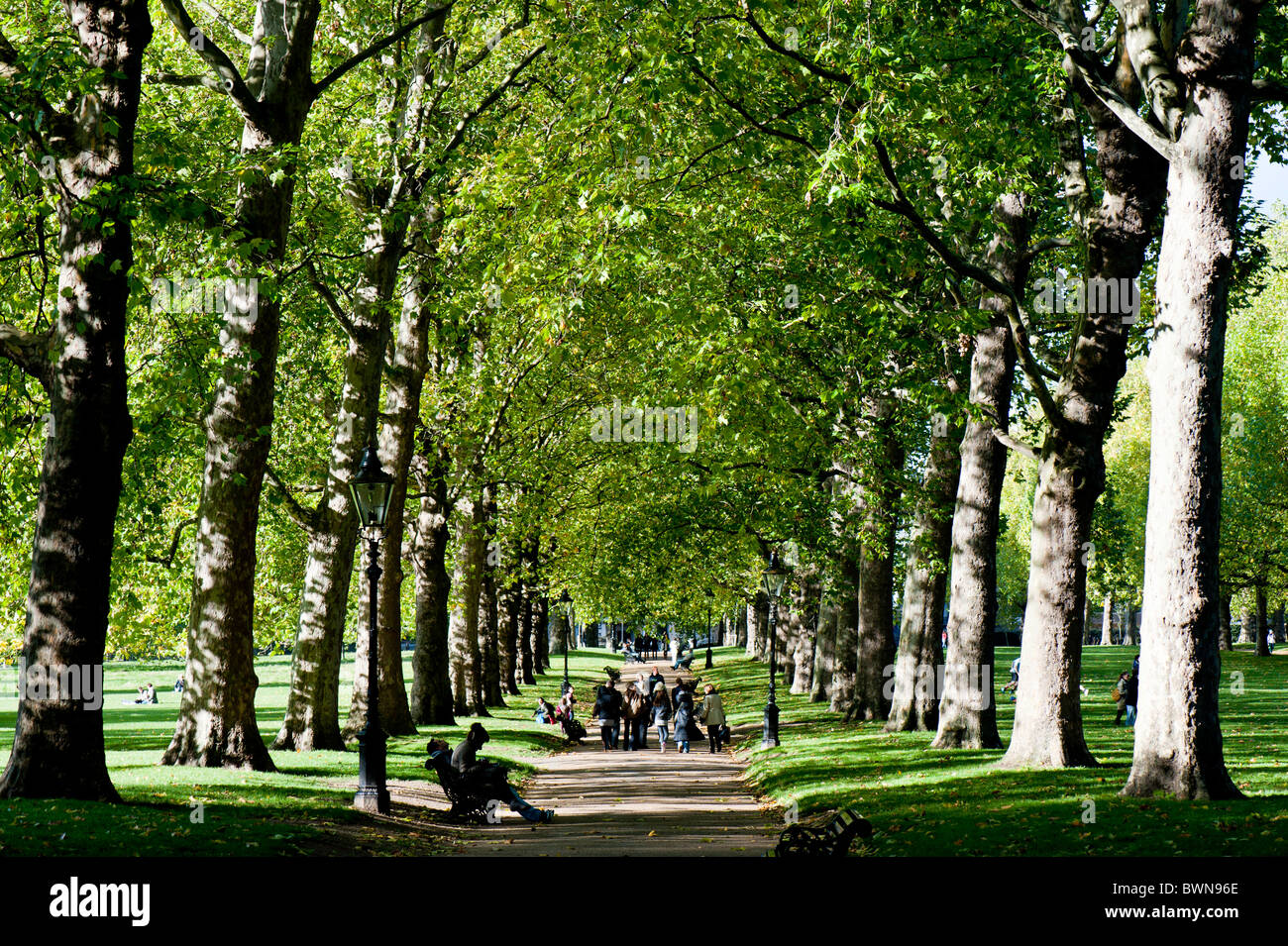 Green park london hi-res stock photography and images - Alamy