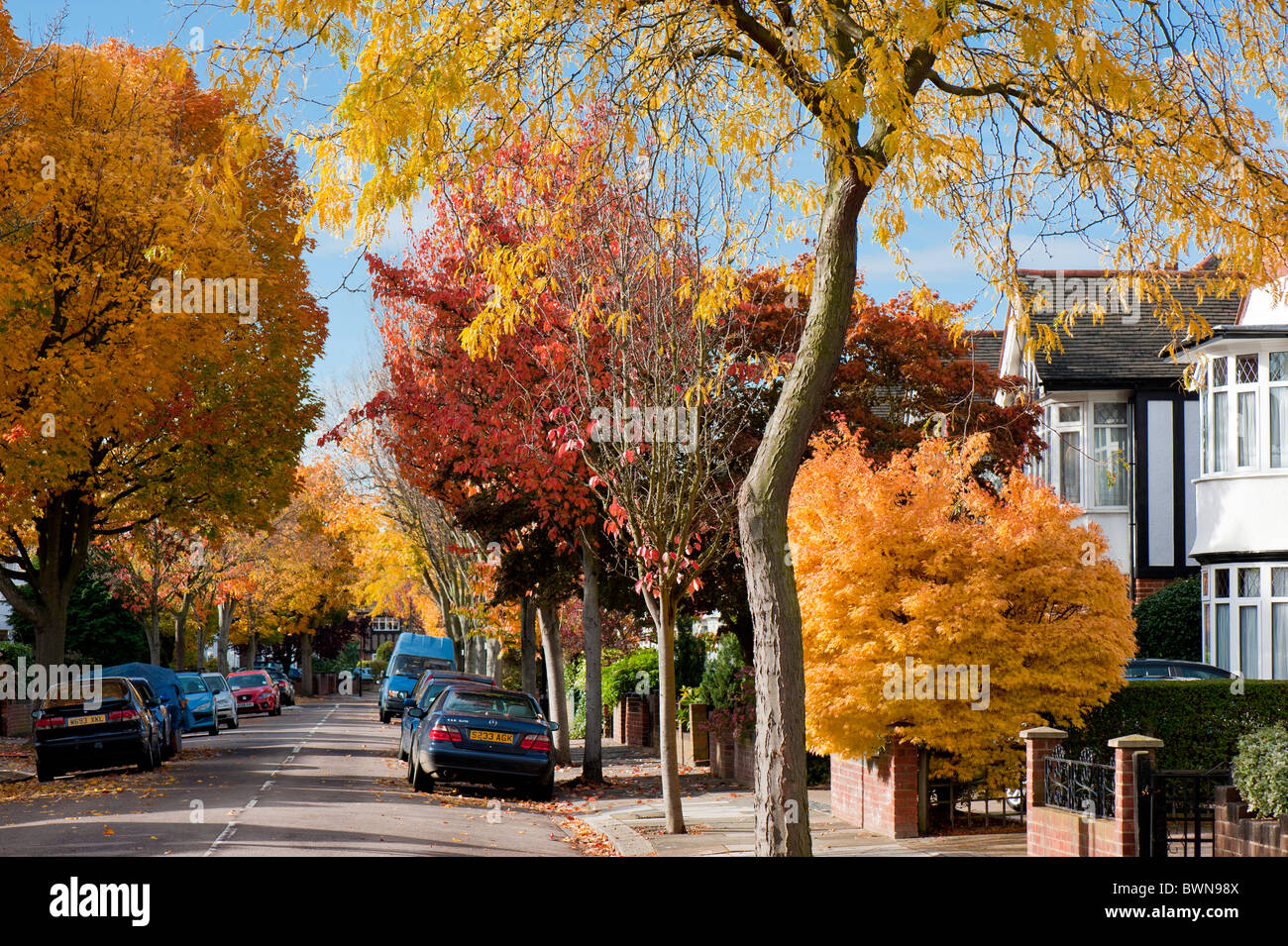 Street in autumn colours, London, United Kingdom Stock Photo - Alamy
