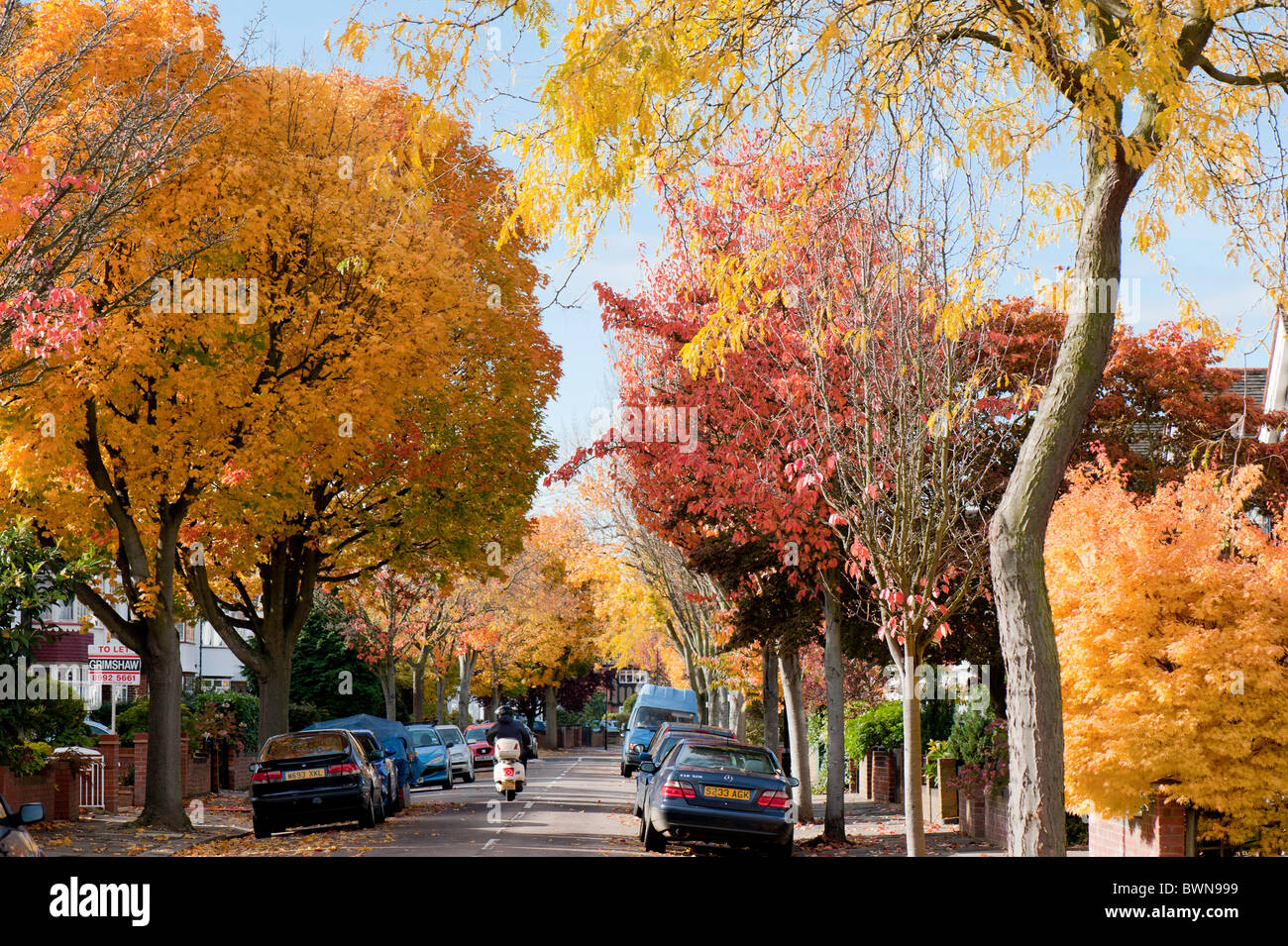 Street in autumn colours, London, United Kingdom Stock Photo - Alamy