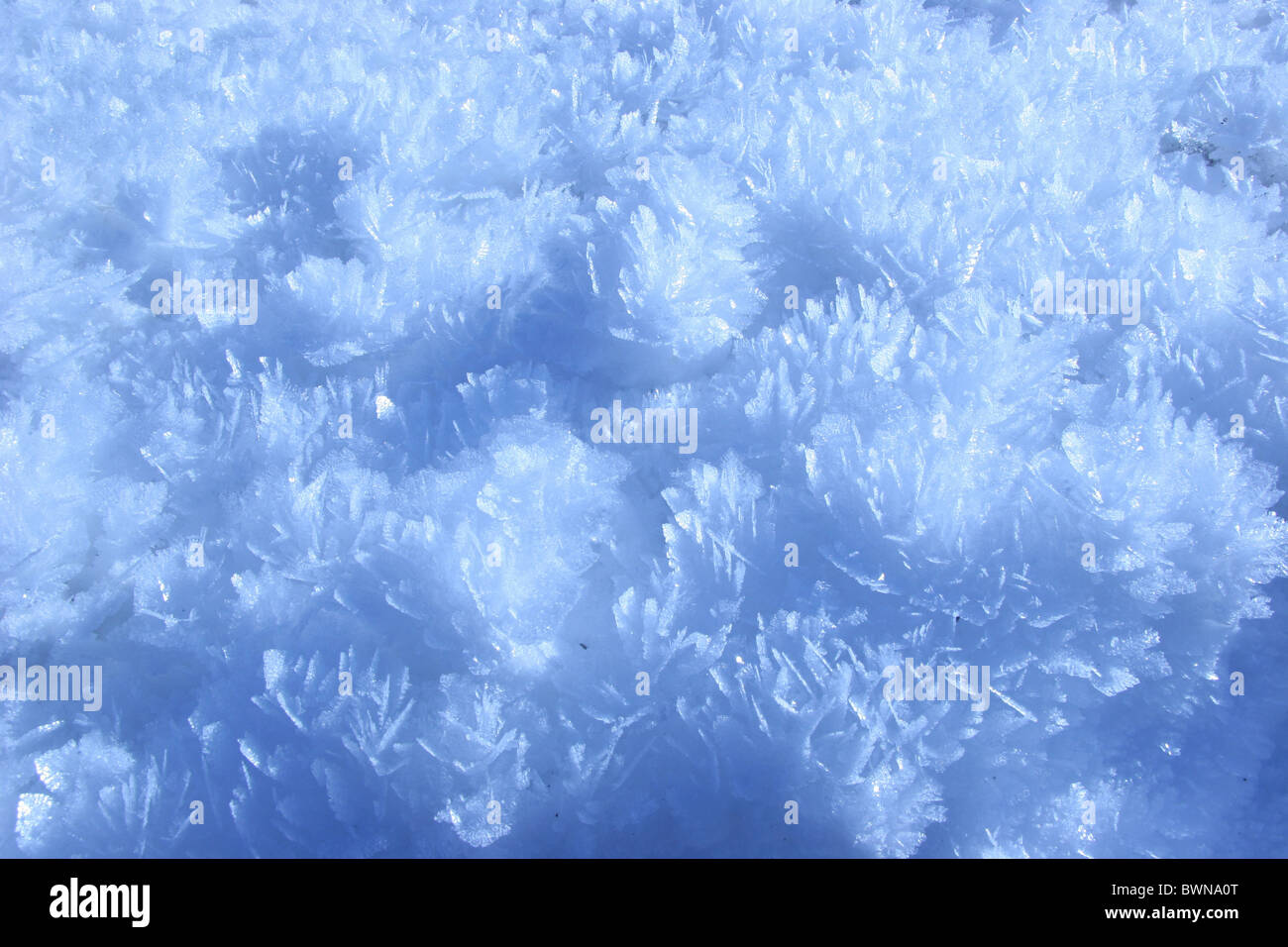 Winter snow ice crystals crystal snowed surface nature white frozen ...