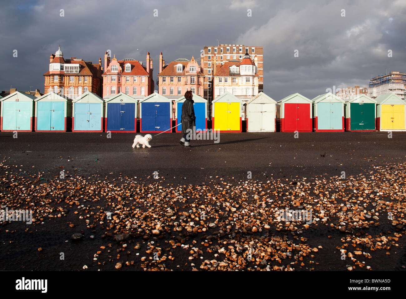 Brighton beach walking dog hi-res stock photography and images - Alamy