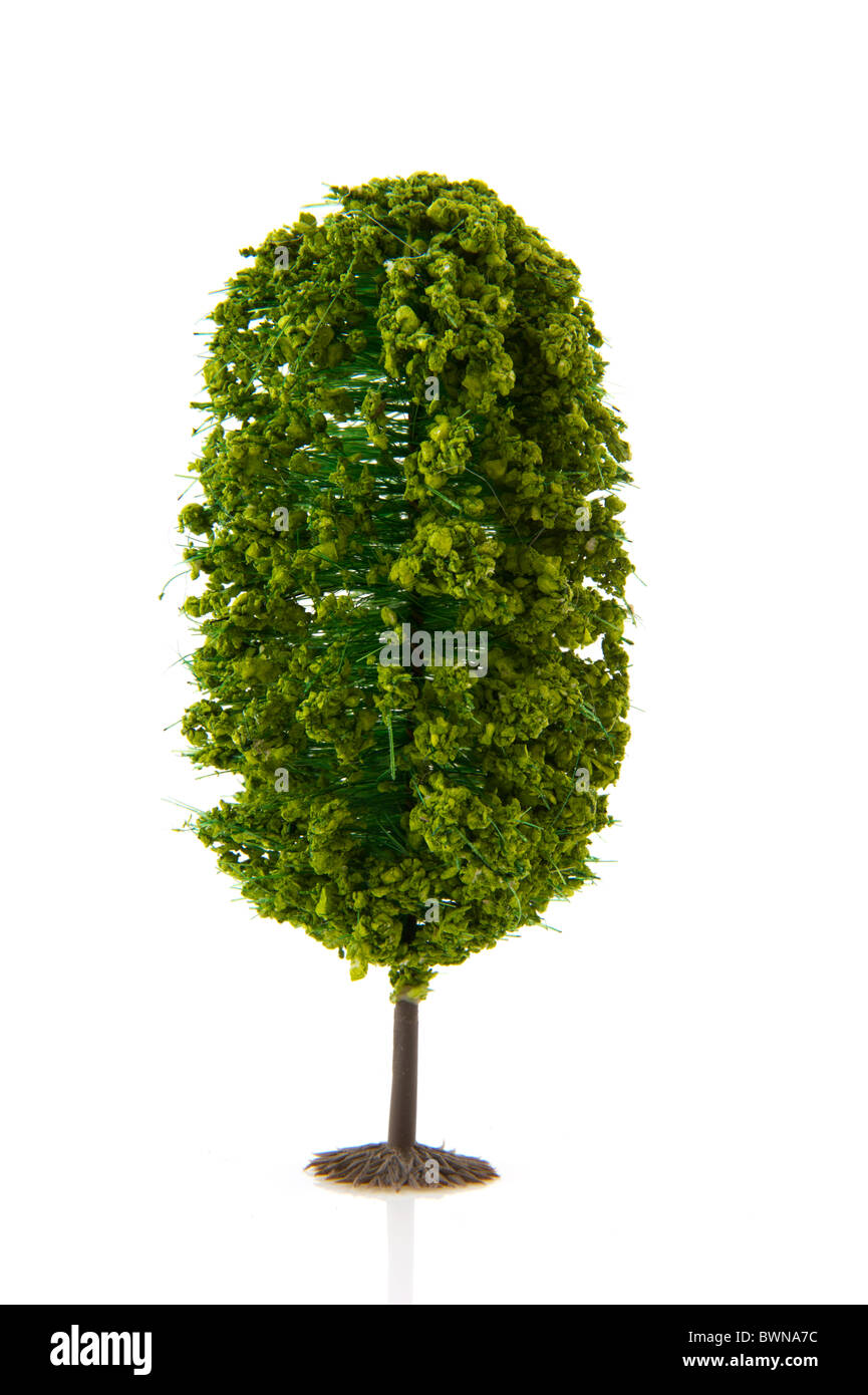 Single green tree isolated over white background Stock Photo - Alamy