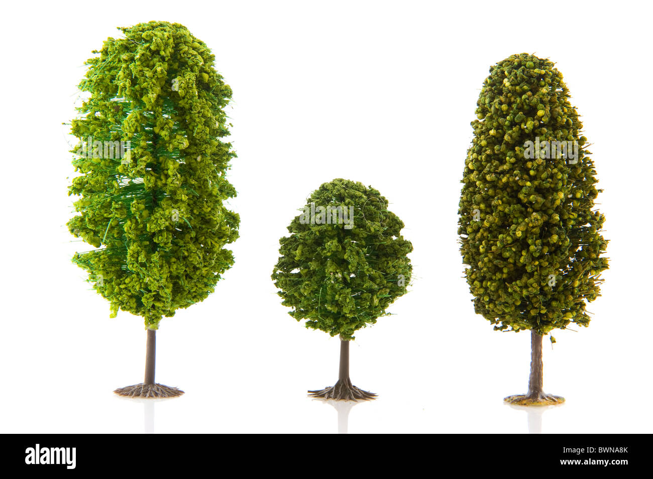 Three green trees in a row isolated over white background Stock Photo ...