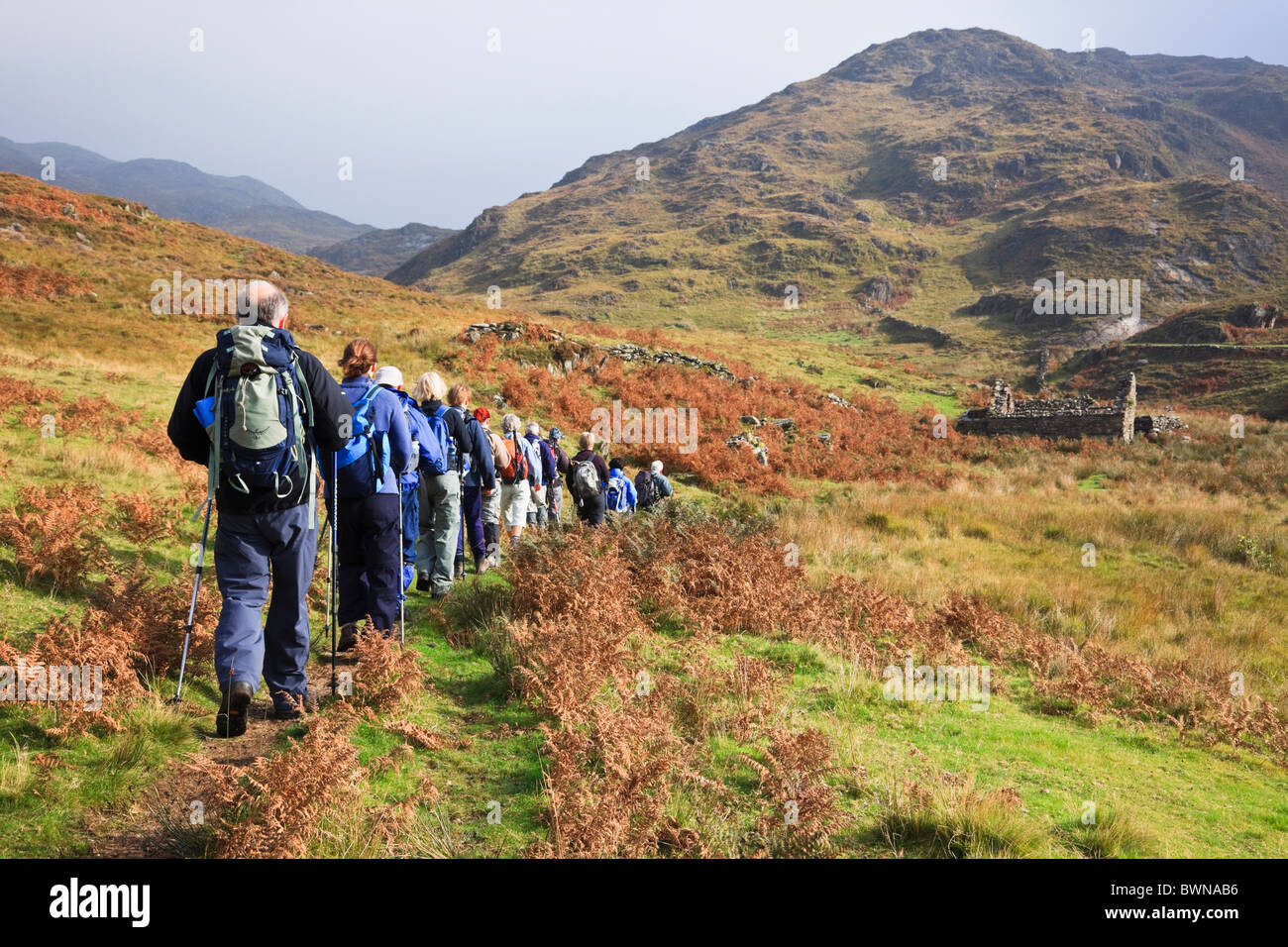 Group of Ramblers walking in the mountains of Snowdonia National Park ...