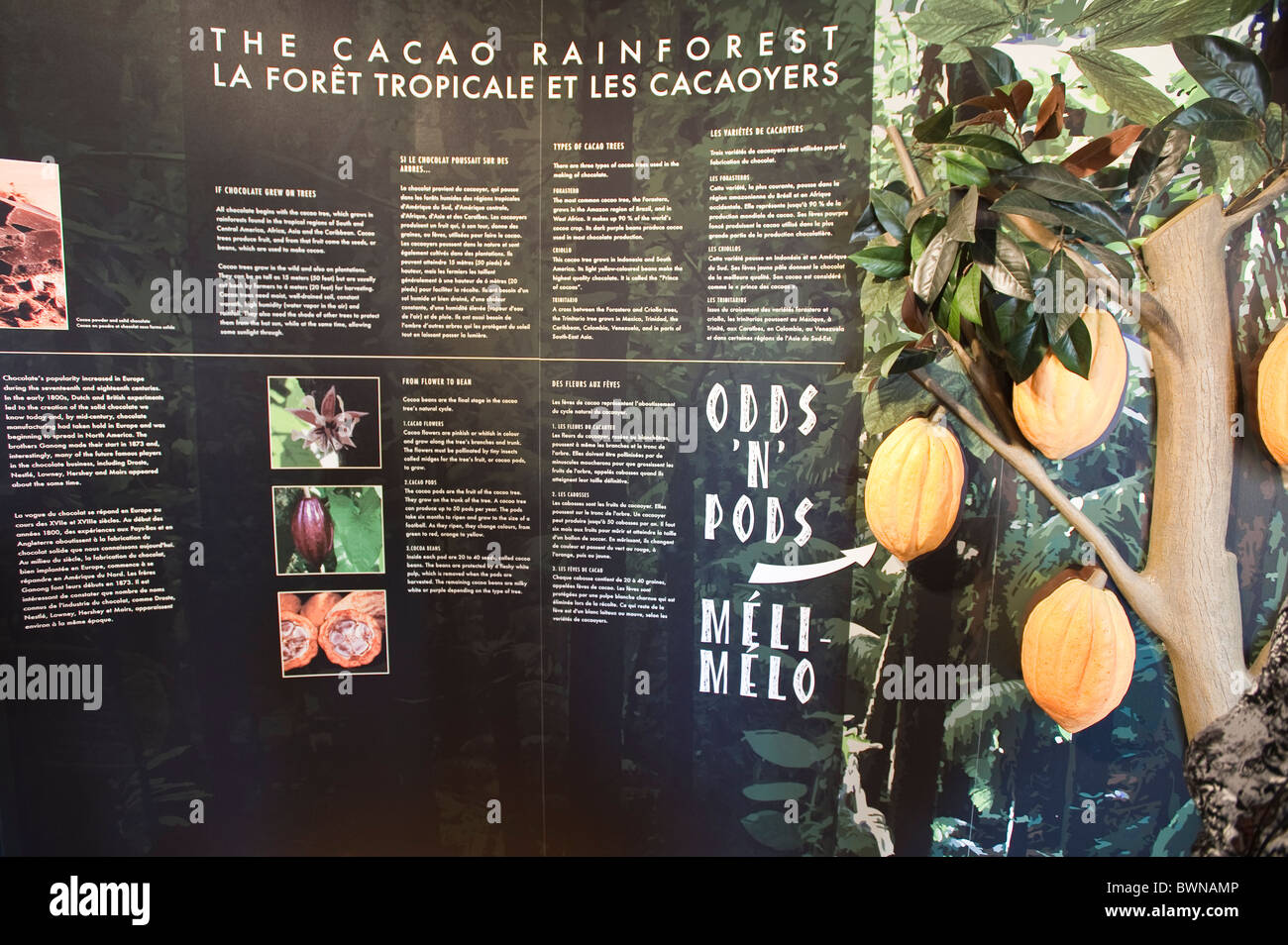 Ganong chocolate factory museum in Saint Stephen (St. Stephen), New ...