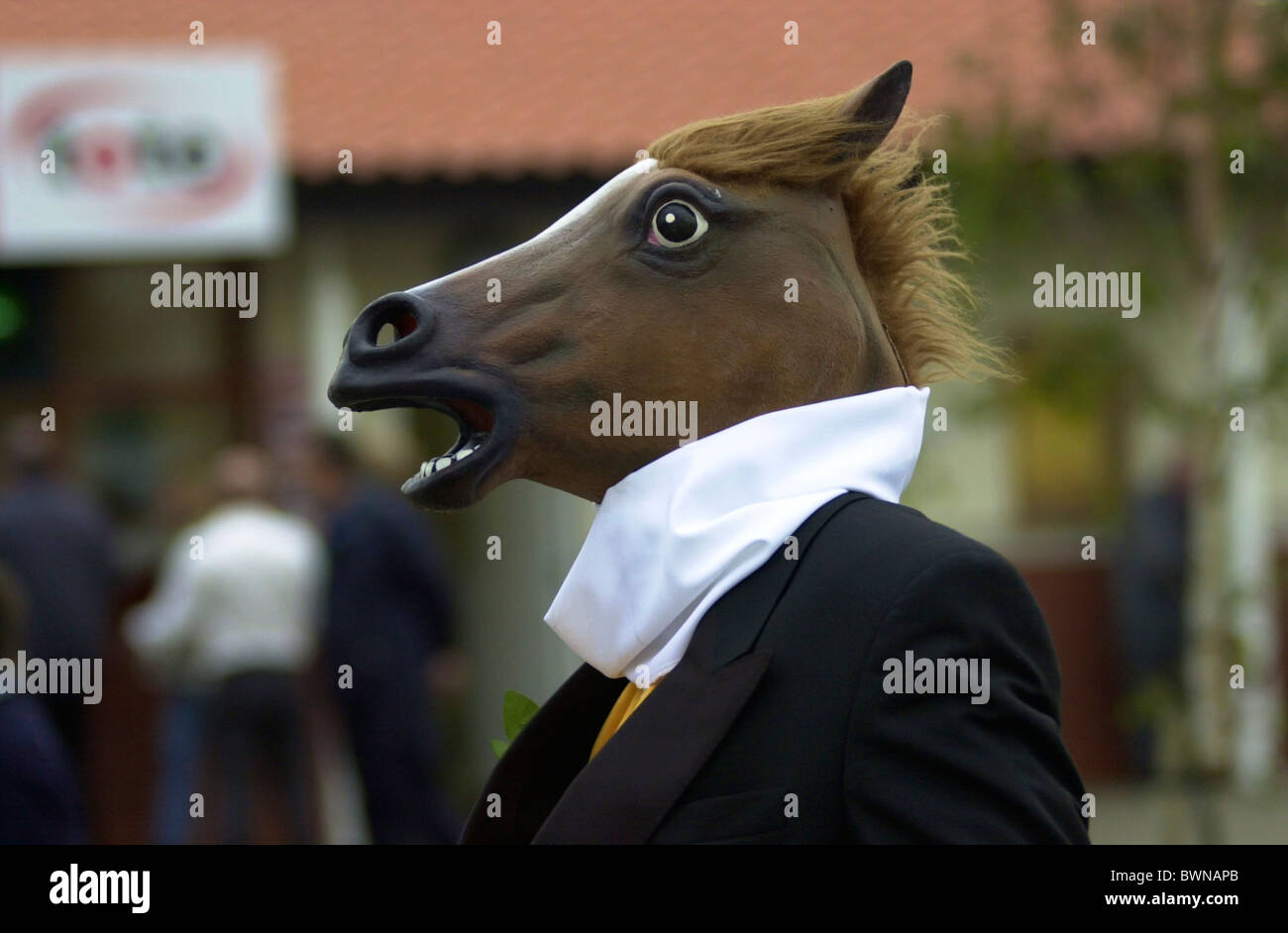Person dressed up as a horse at Newmarket Races Stock Photo - Alamy