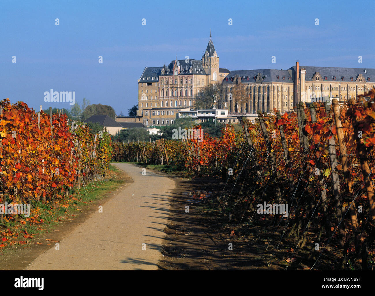 10838777 hi-res stock photography and images - Alamy