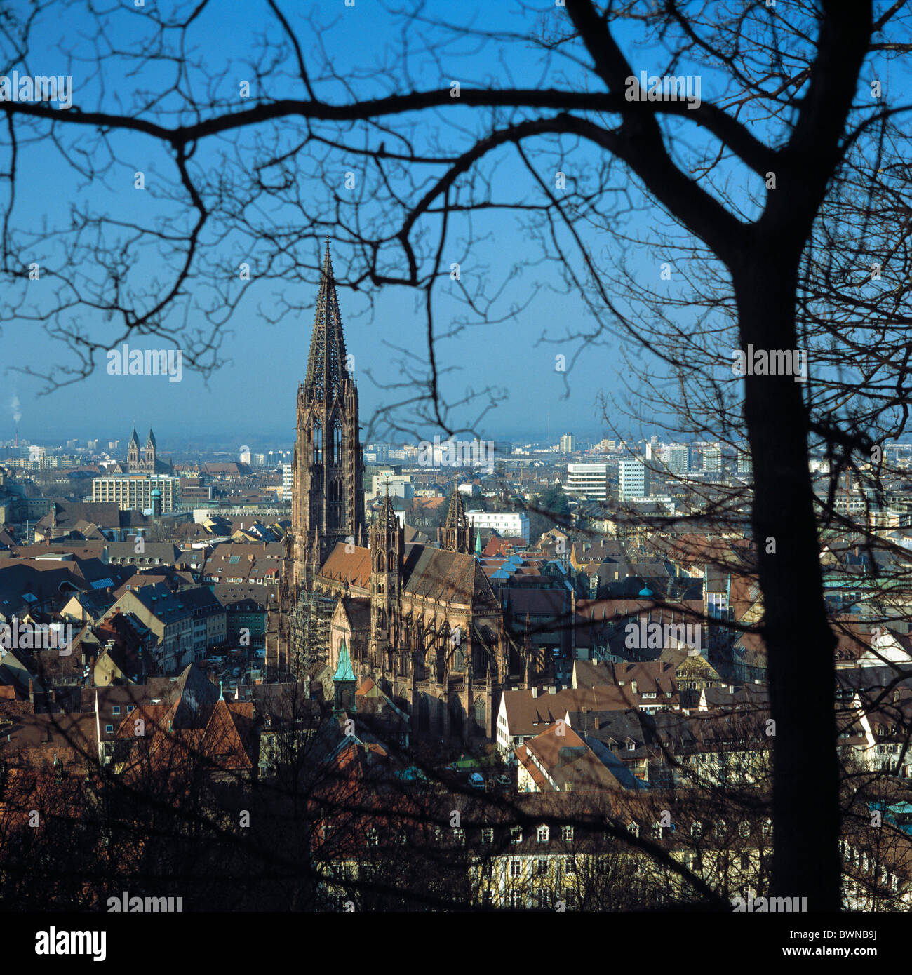 10838779 hi-res stock photography and images - Alamy