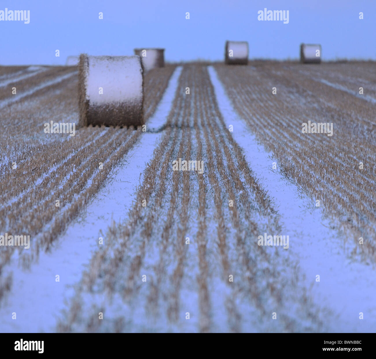 Gauldry fife hi-res stock photography and images - Alamy