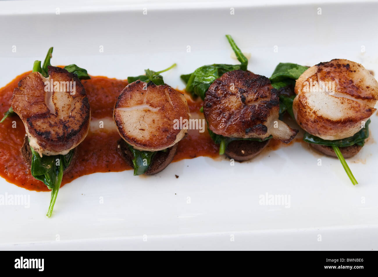 Scallops seafood cuisine, Fredericton, New Brunswick, the maritimes ...