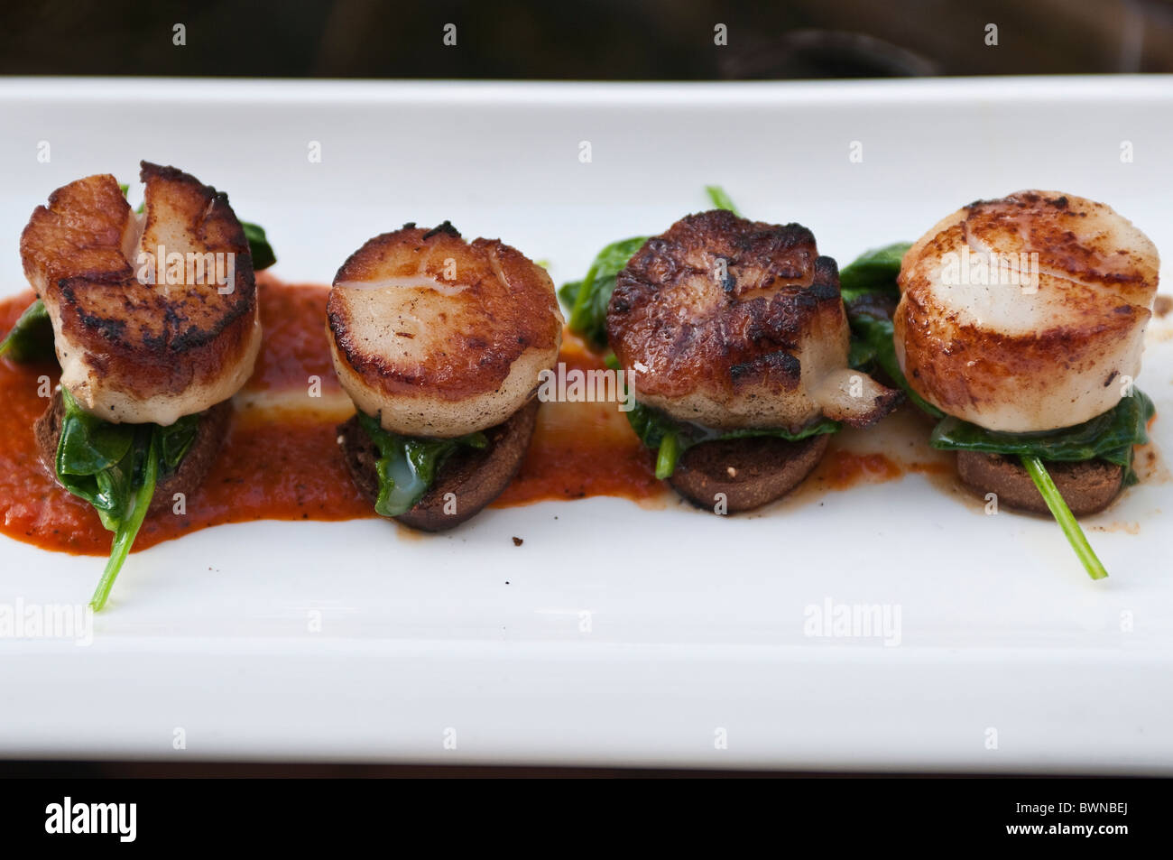 Scallops seafood cuisine, Fredericton, New Brunswick, the maritimes ...