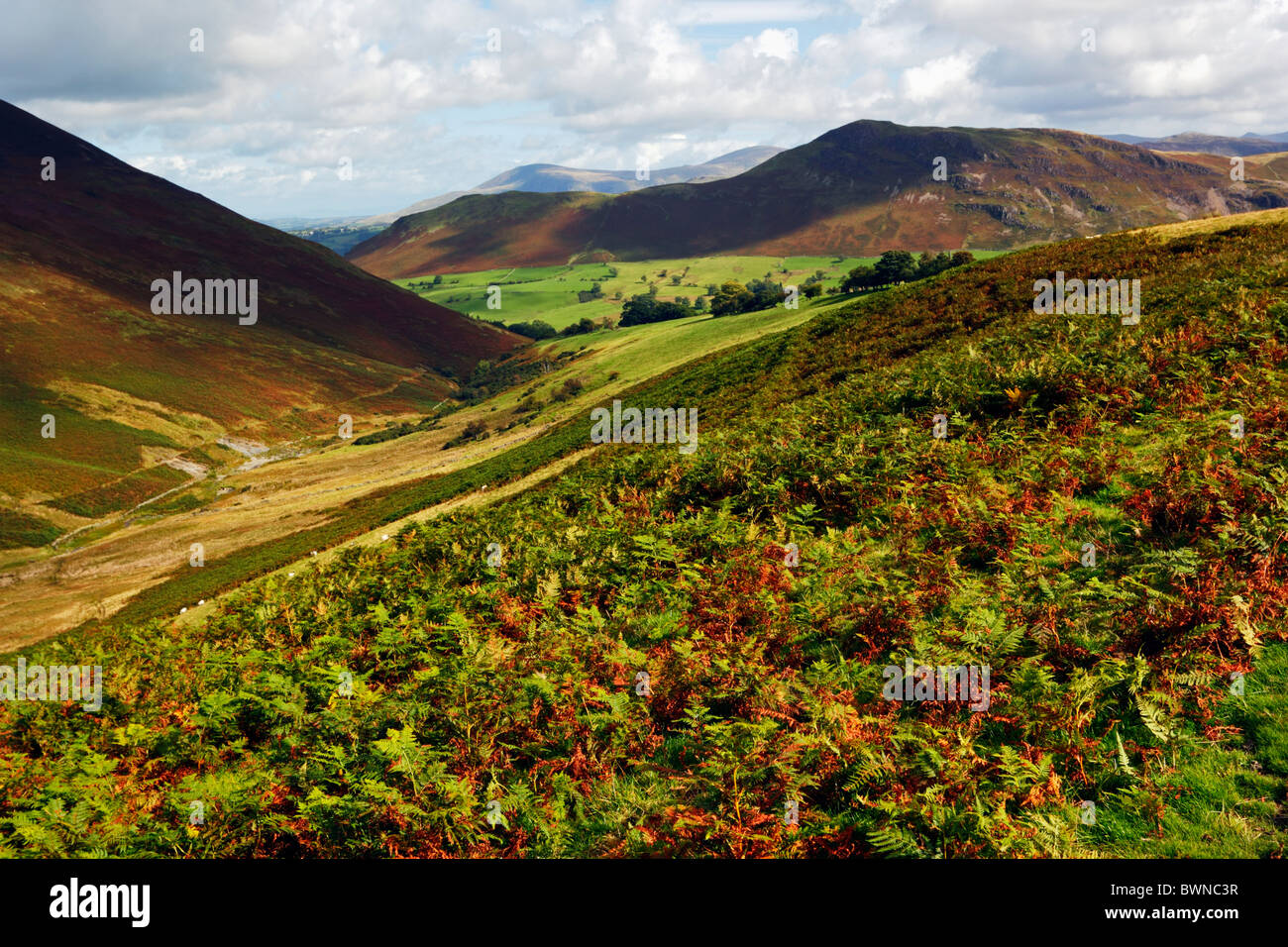 Looking out towards Catbells and Newlands from Rigg Beck in the Lake ...