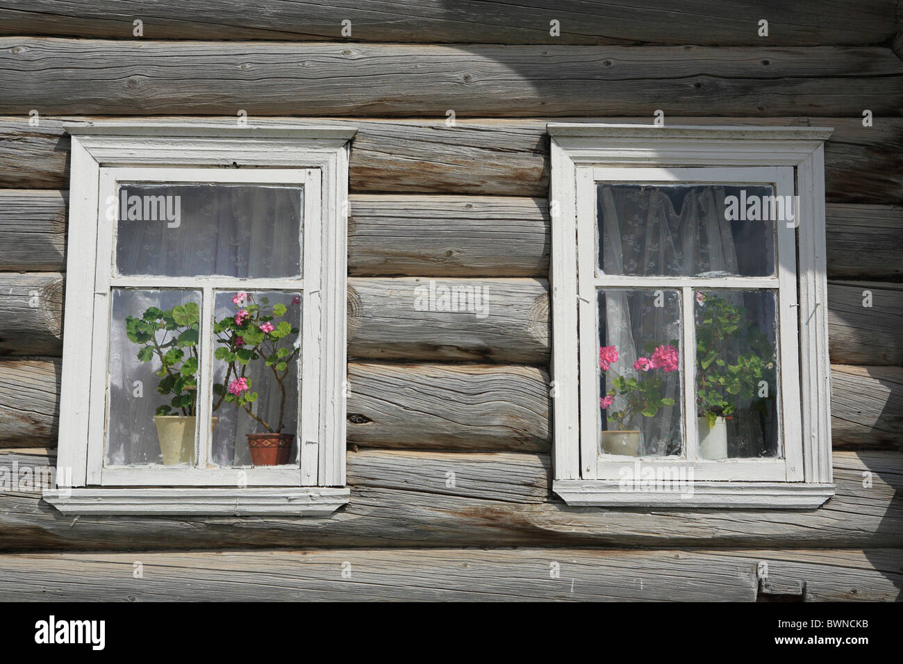 Archangelsk archangelsk region hi-res stock photography and images - Alamy