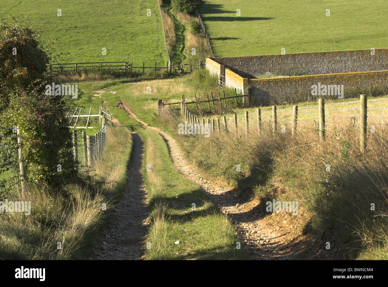 Looking over Cow Bottom towards Lancing Hill - South Downs National ...