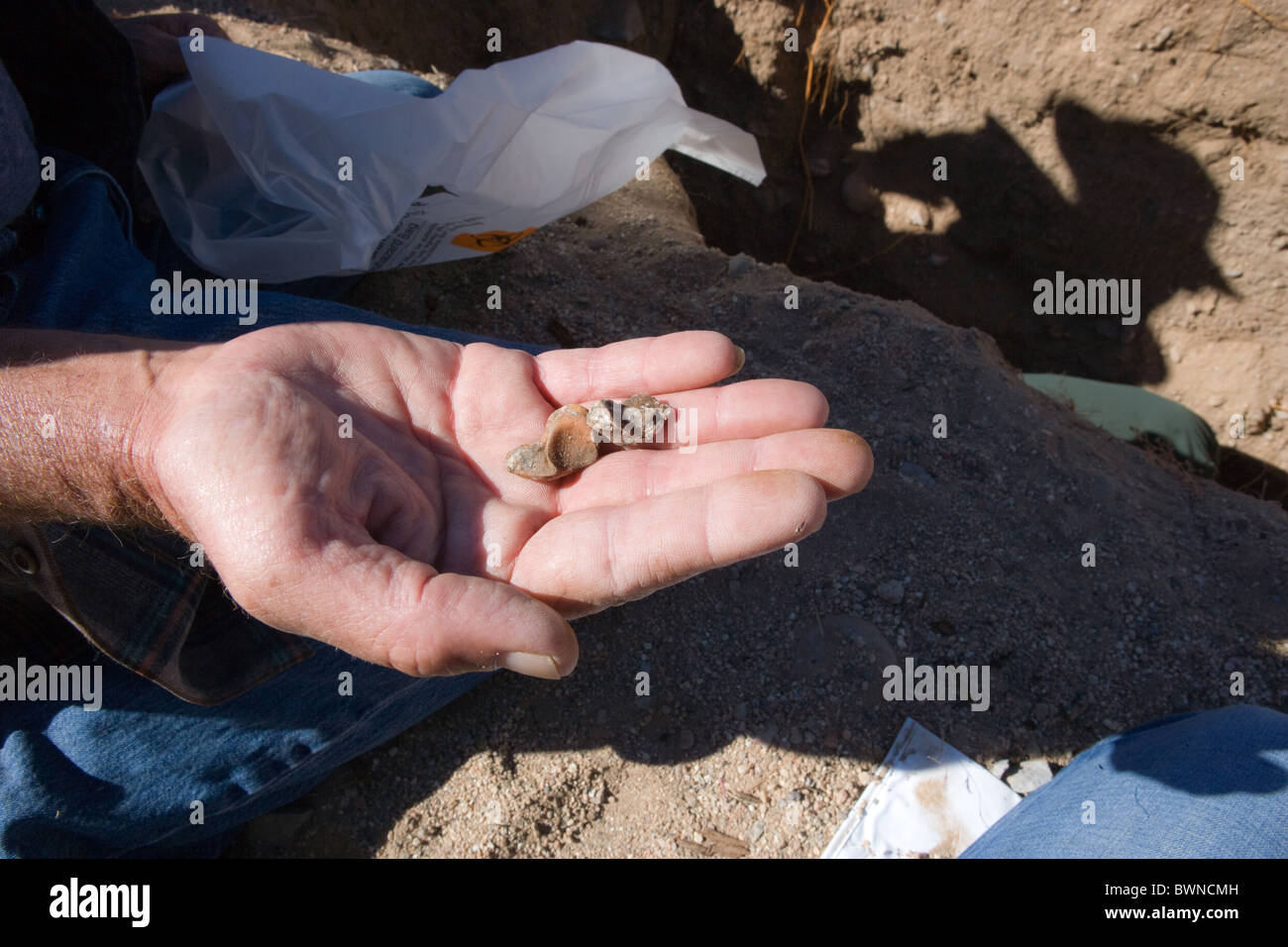 Human hand bones hi-res stock photography and images - Alamy